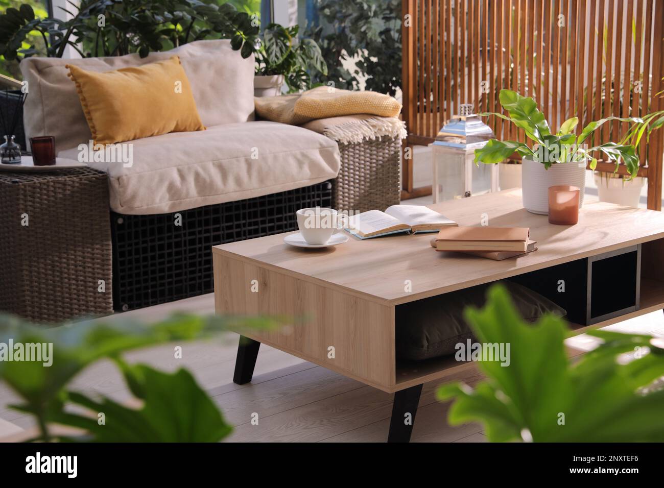 Indoor terrace interior with modern furniture and houseplants Stock ...