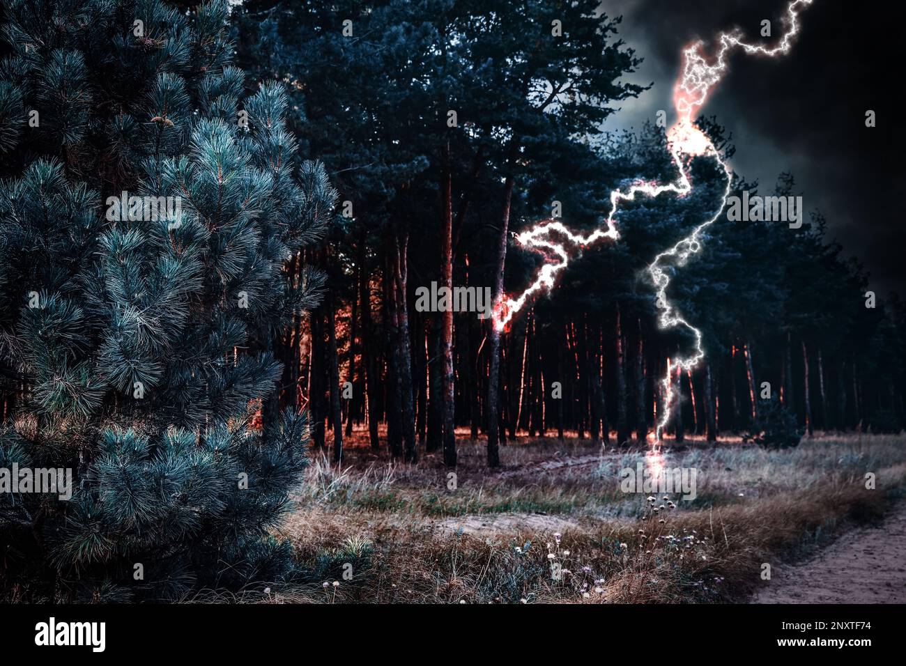 Dark cloudy sky with lightning striking tree and ground. Thunderstorm ...