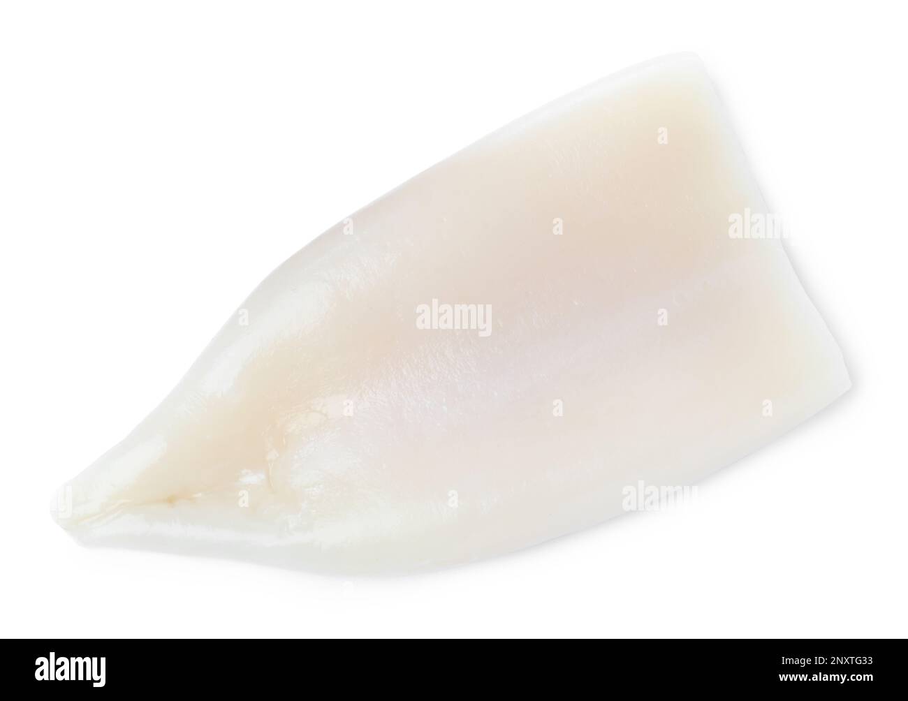 Fresh raw squid tube isolated on white, top view Stock Photo - Alamy