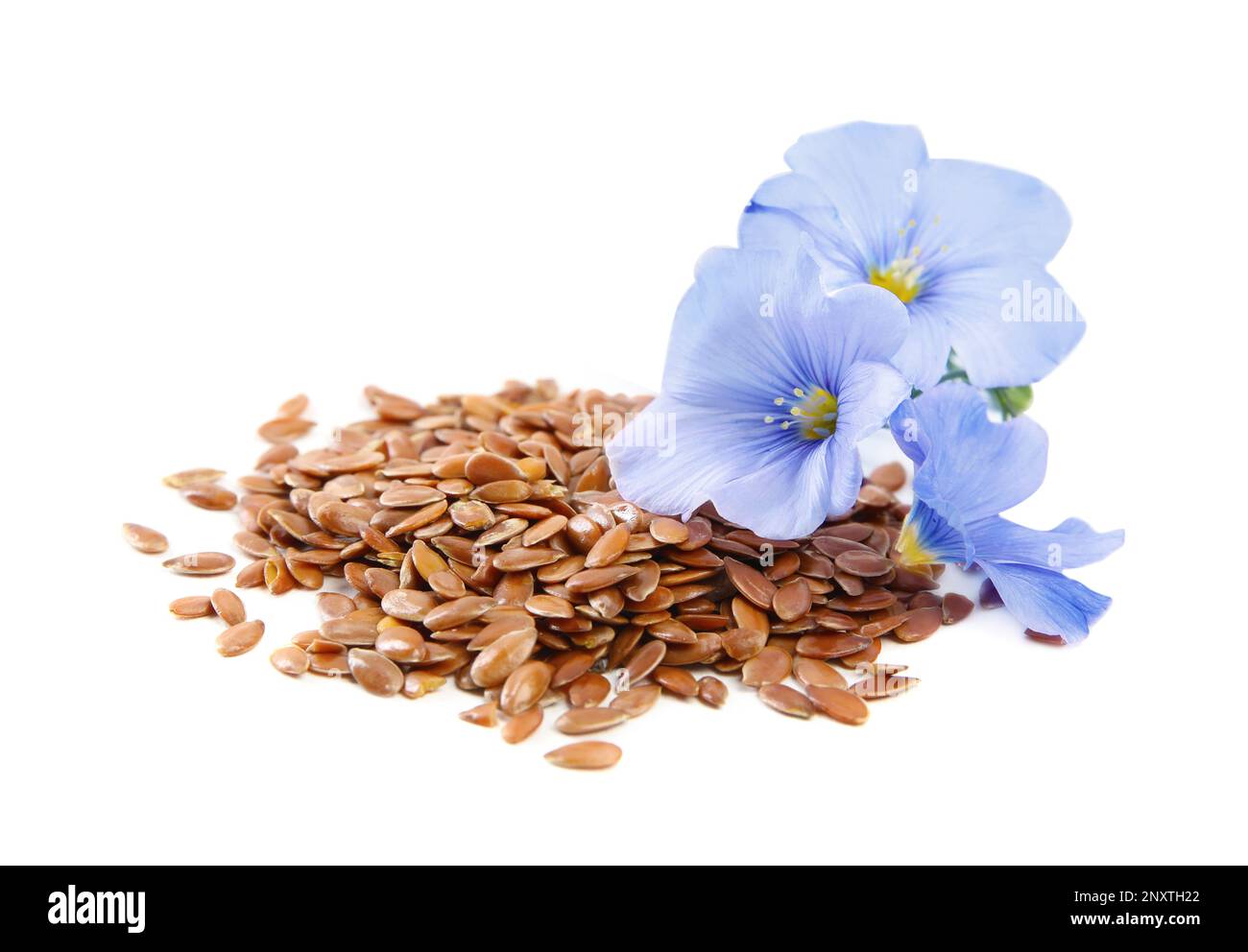 Flax flowers and seeds on white background Stock Photo - Alamy