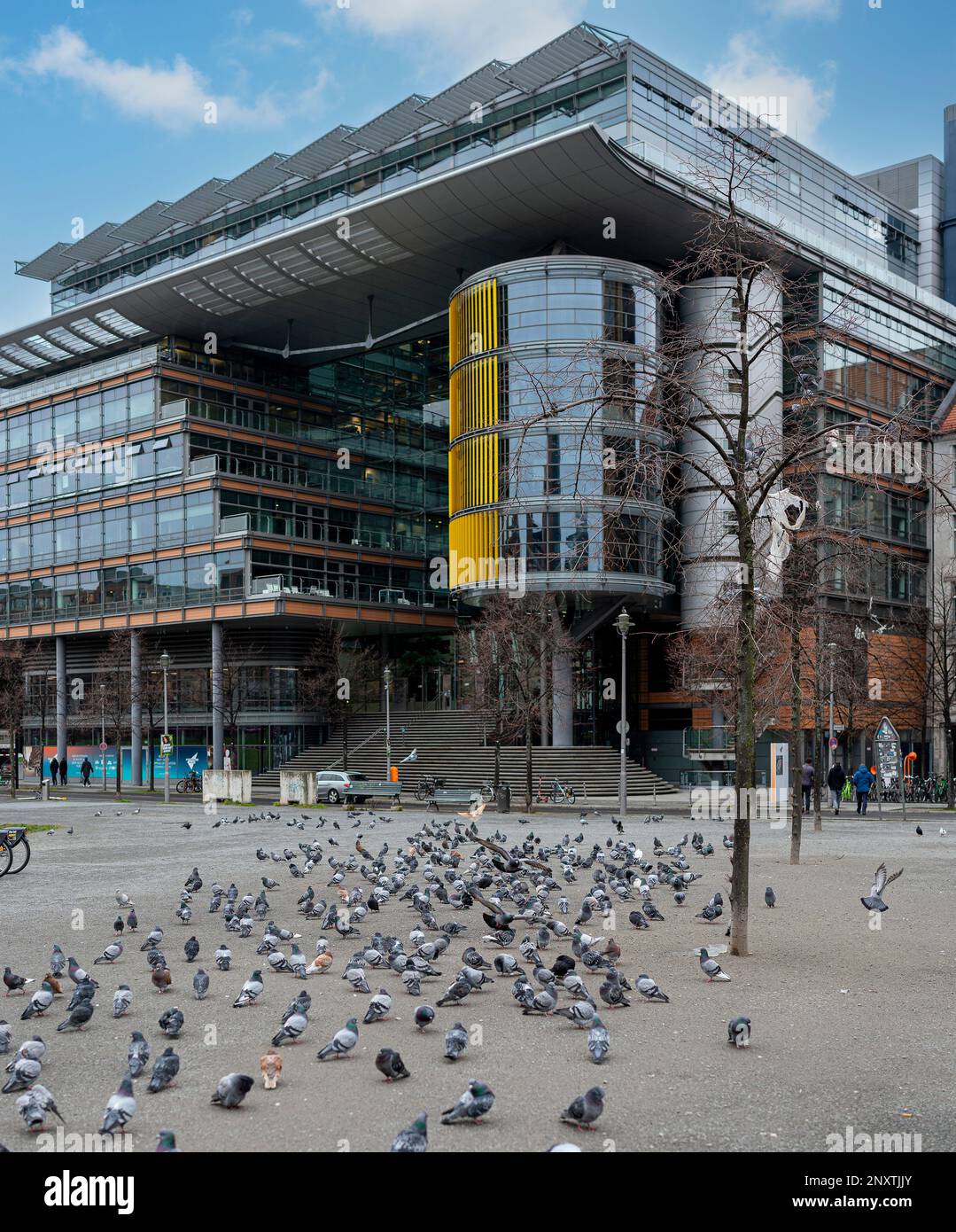 Pigeons Gathering At Potsdamer Platz, Berlin, Germany Stock Photo - Alamy