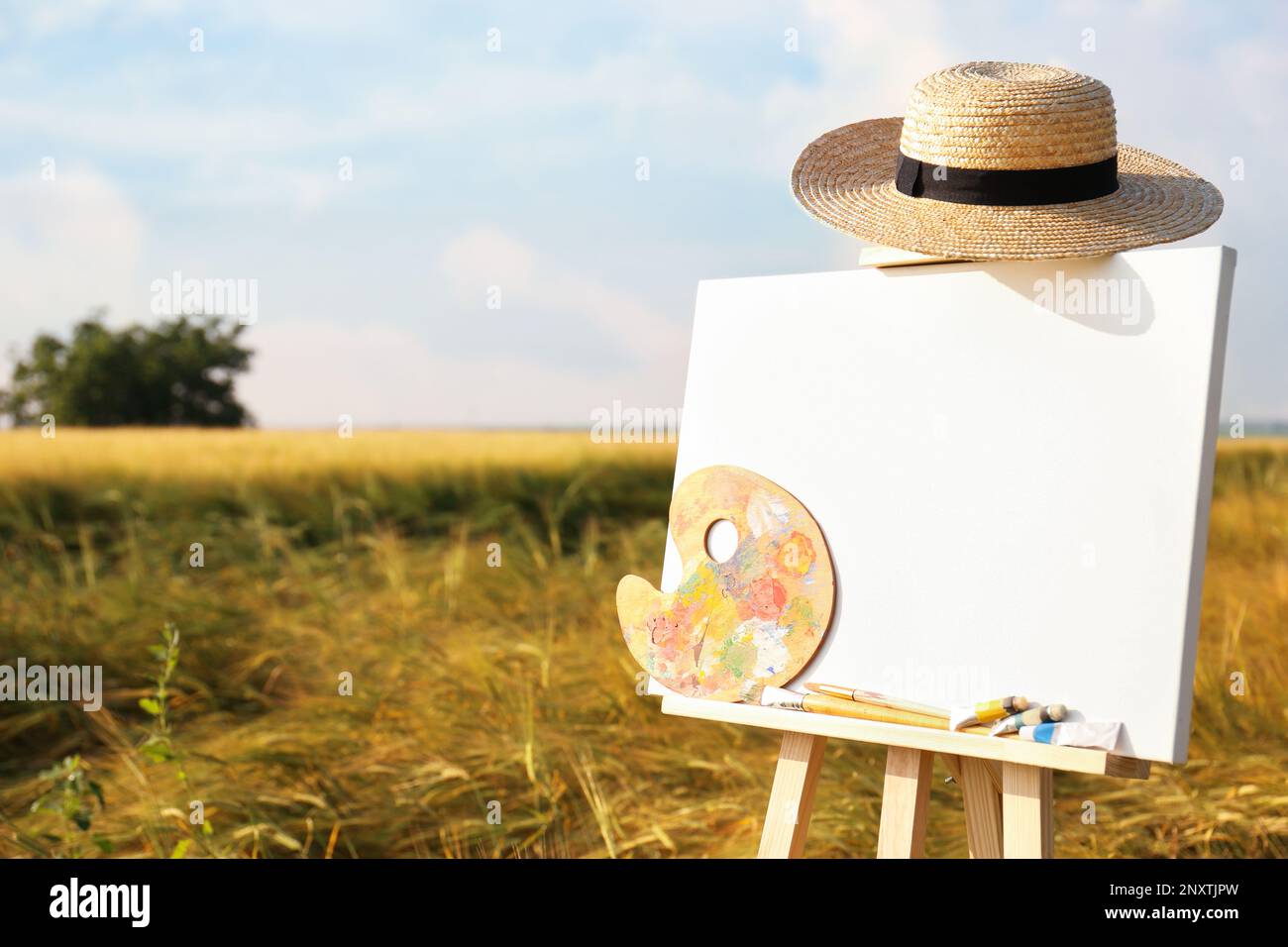 Wooden easel with blank canvas, painting equipment and hat in field ...