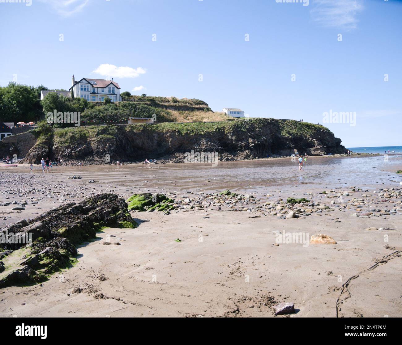 Beach at Little Haven, Pembrokeshire Stock Photo - Alamy