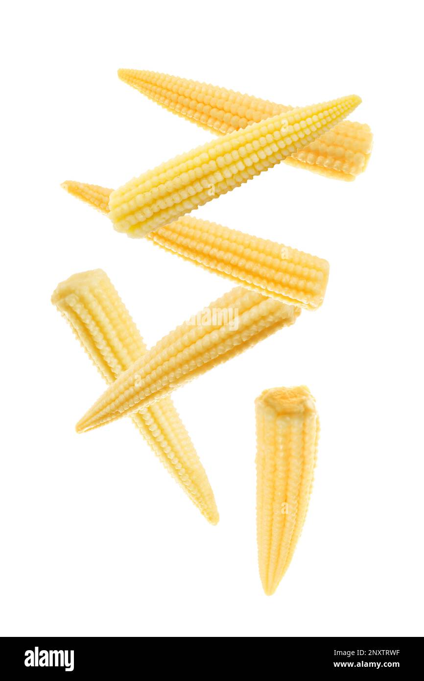 Tasty baby corn cobs flying on white background Stock Photo - Alamy