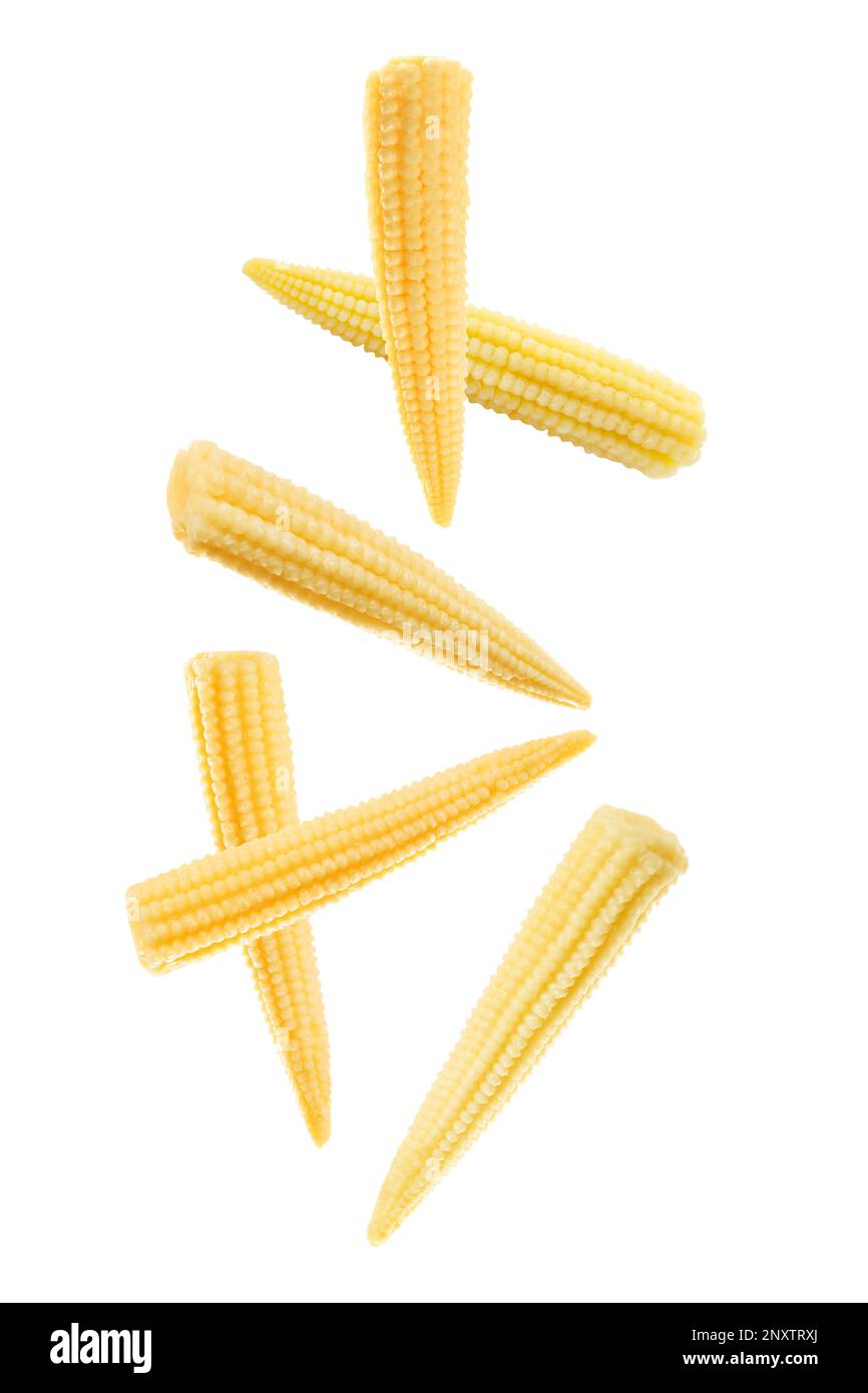 Tasty baby corn cobs flying on white background Stock Photo - Alamy