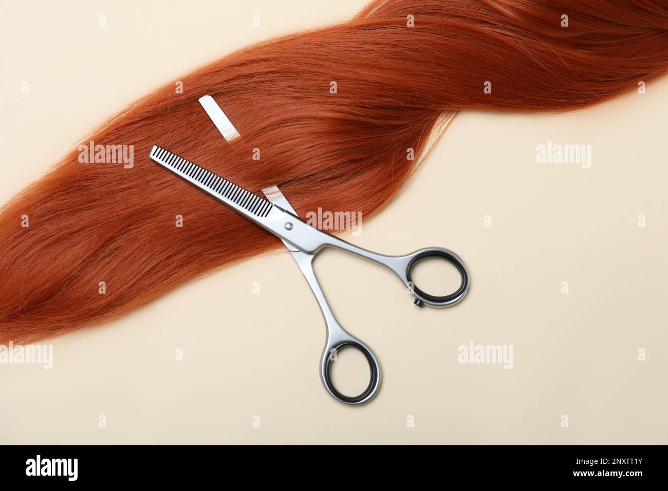 Professional hairdresser scissors and hair strand on beige background ...