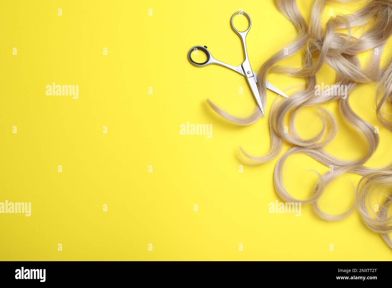 Professional hairdresser scissors, hair strands and space for text on ...