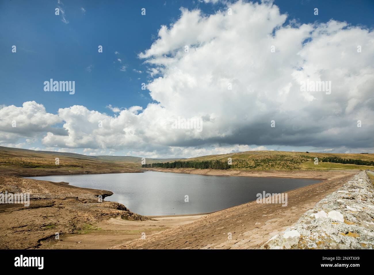Reservoir with young forestry hi-res stock photography and images - Alamy
