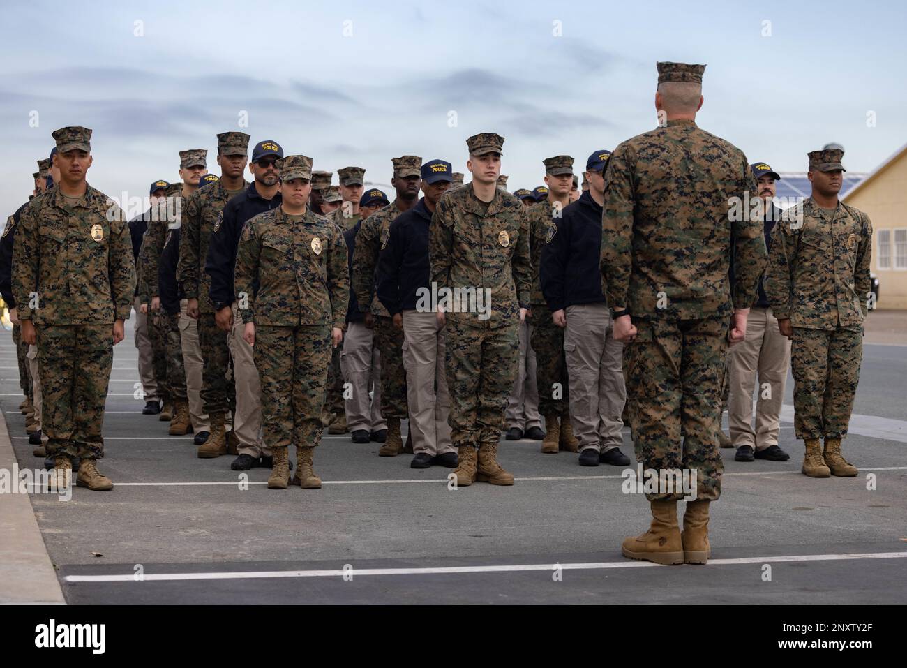 U.S. Marine Corps military and civilian police officers with the ...
