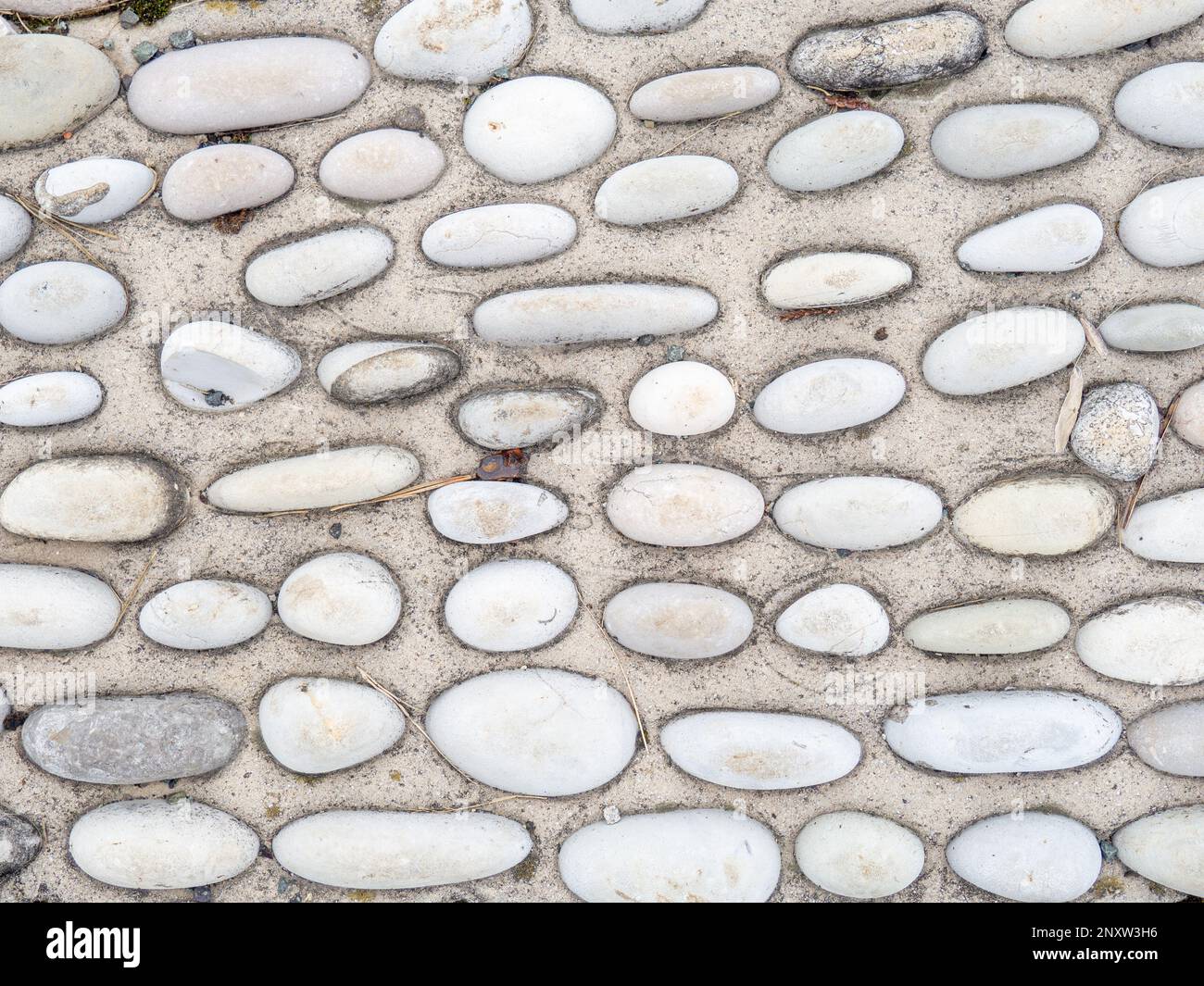 Pattern of sea stones in cement. Ground cover in the park. Background ...