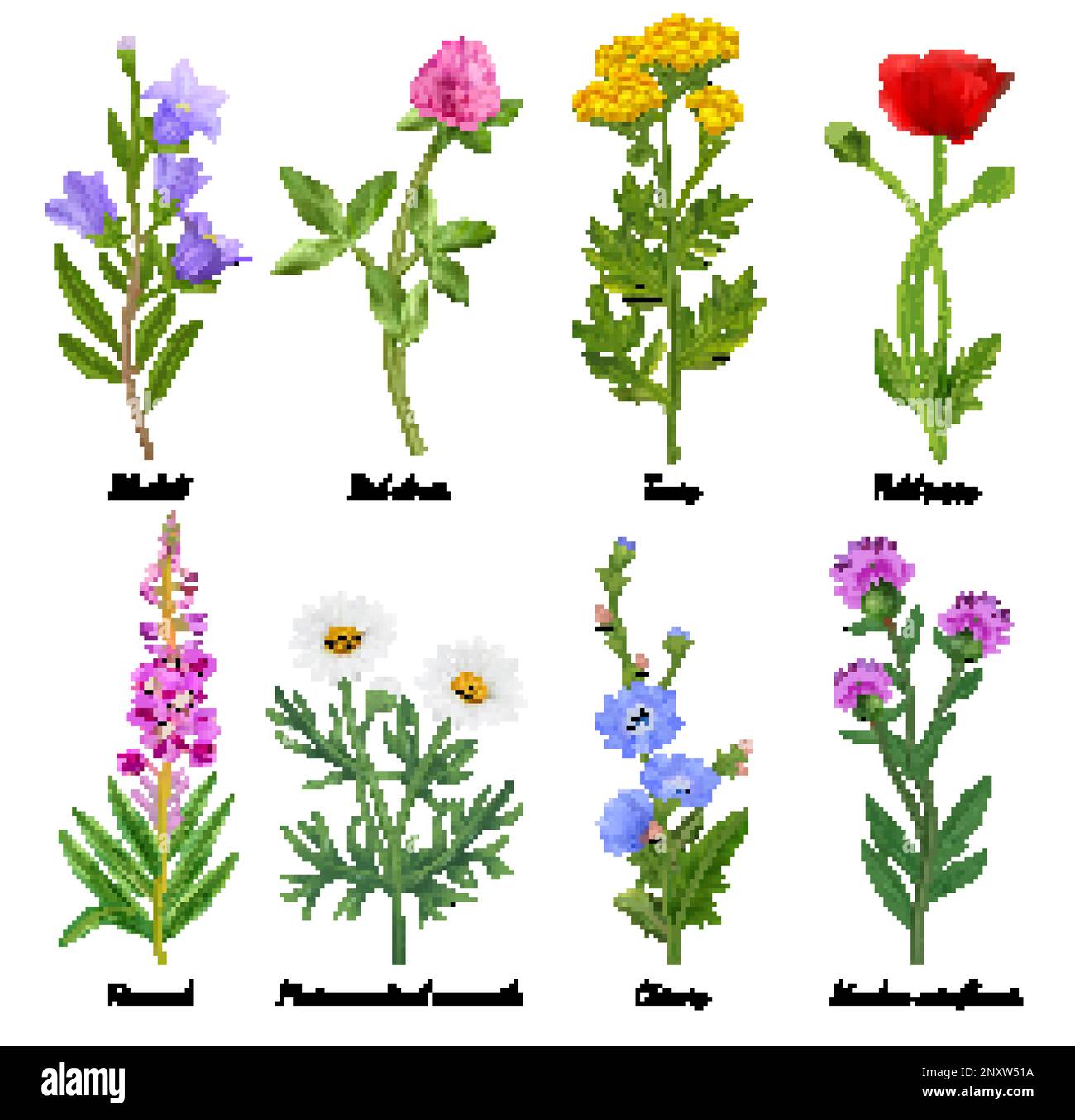 Realistic wildflowers icons set with blooming poppy and camomile ...