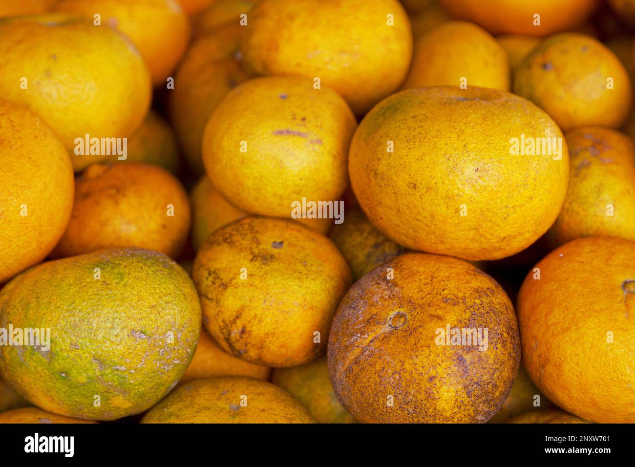 Full frame close-up on a stack of Oranges from Reunion Island on a ...