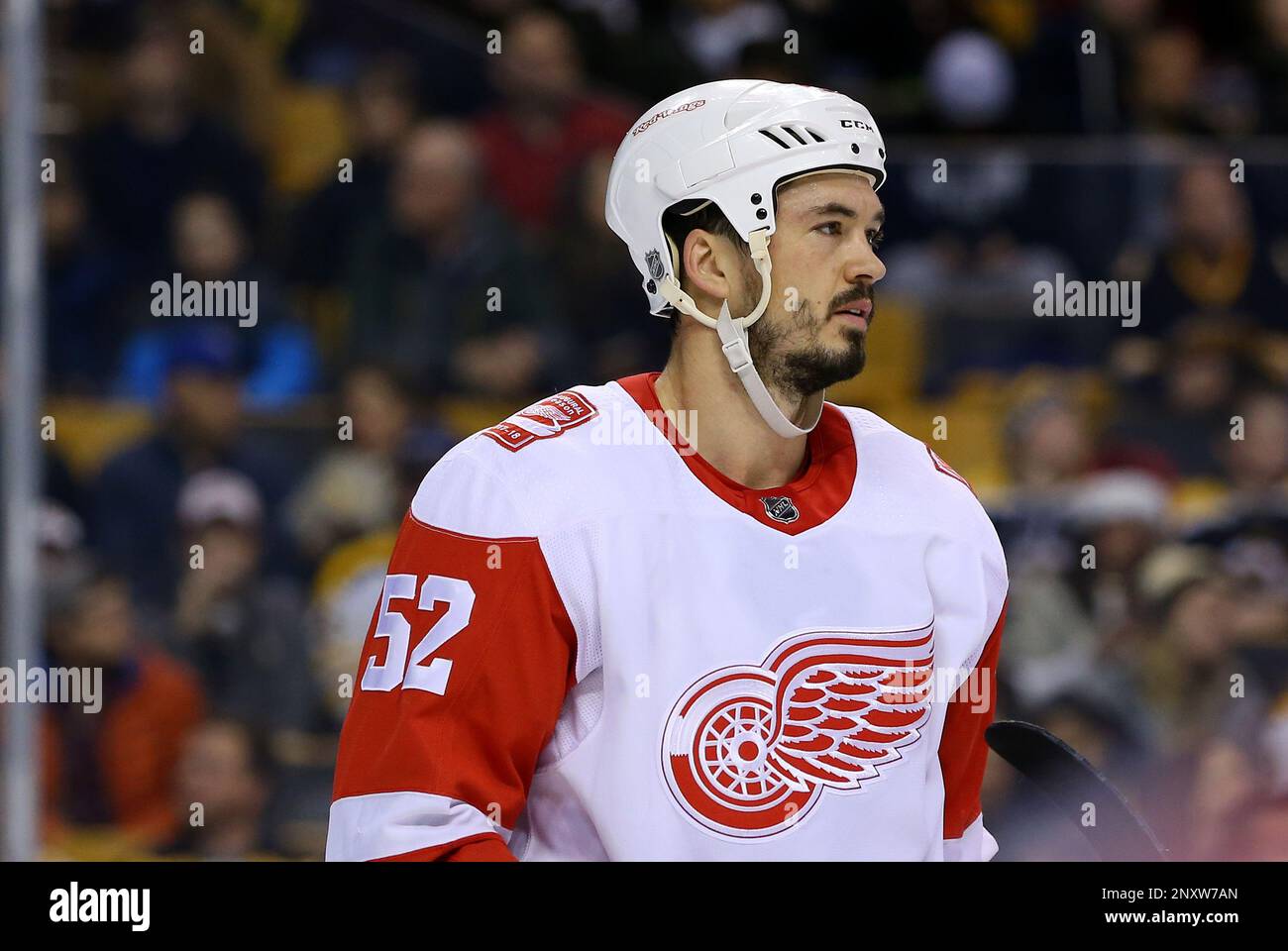 Jonathan Ericsson Red Wings