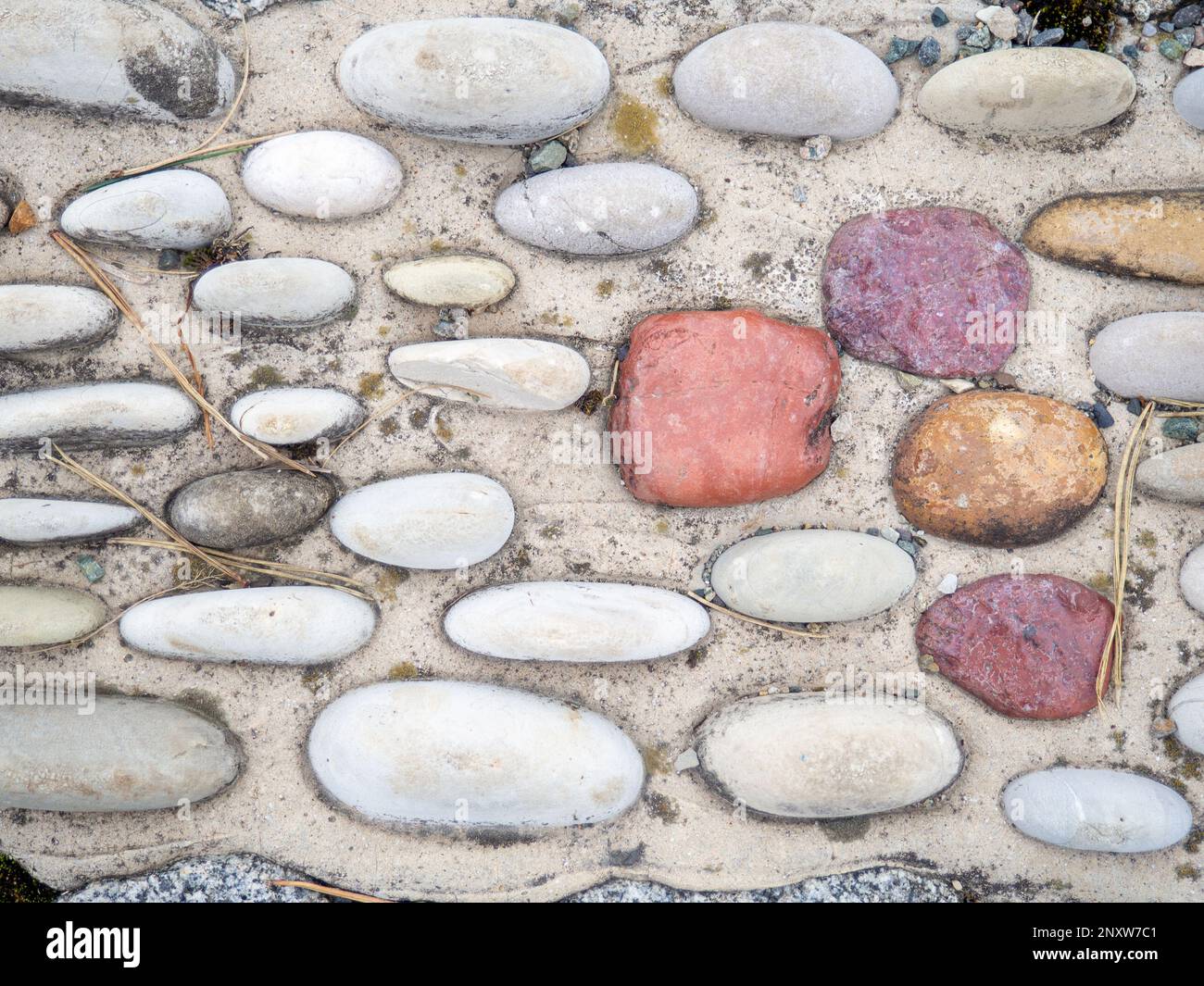 Pattern of sea stones in cement. Ground cover in the park. Background ...