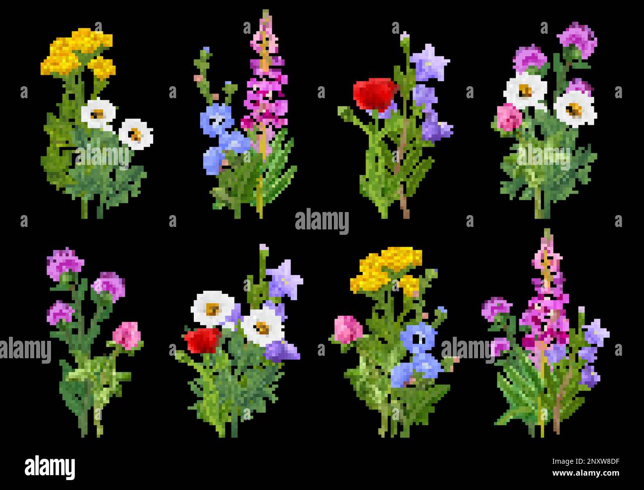 Realistic wildflower Stock Vector Images - Alamy