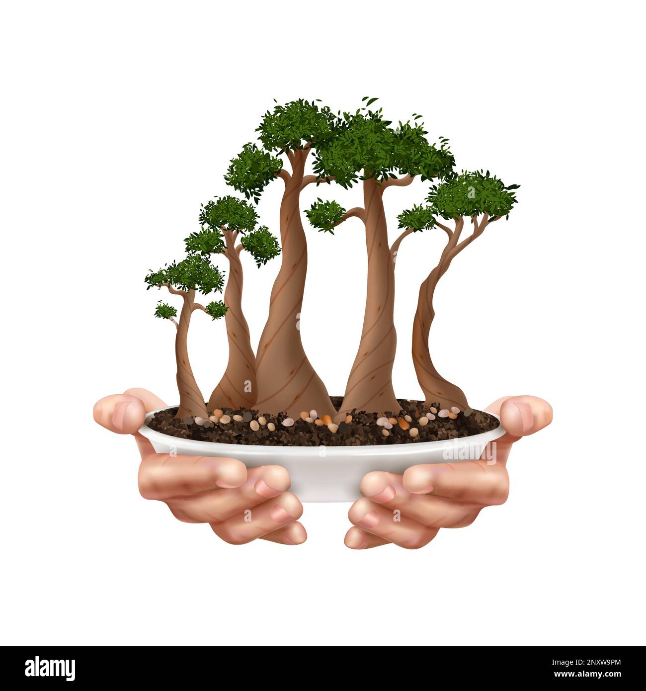 Bonsai tree composition with realistic hands holding flower pot vector ...