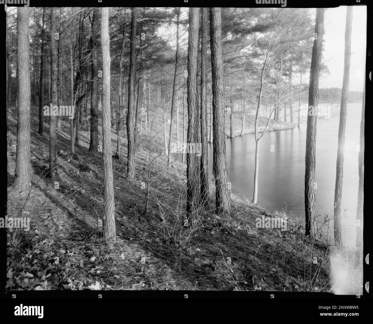 The Kellams, Princess Anne County, Virginia. Carnegie Survey of the ...