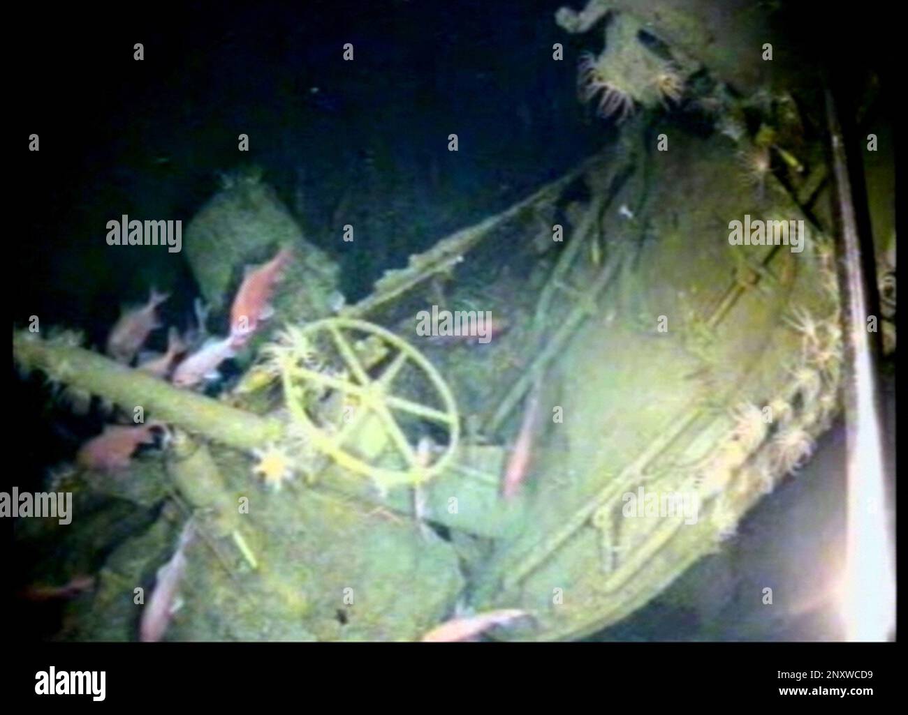 In this undated image provided by the Australian Department of Defense ...