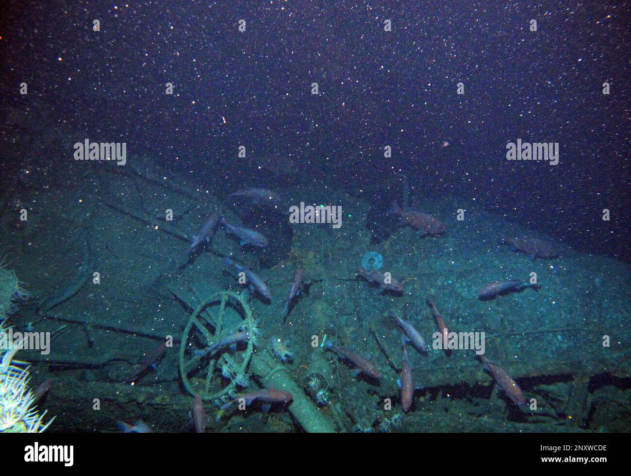 In this undated image provided by the Australian Department of Defense ...