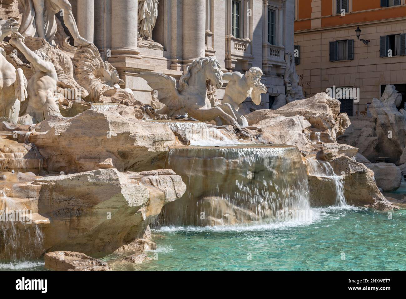 Trevi fountain sculpture pool hi-res stock photography and images - Alamy