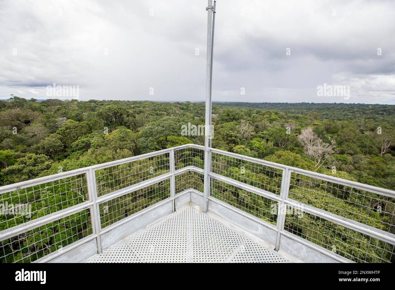 AM - Manaus - 12/18/2017 - Museum of Amazonia MUSA - The observatory tower of the Amazon Museum ...