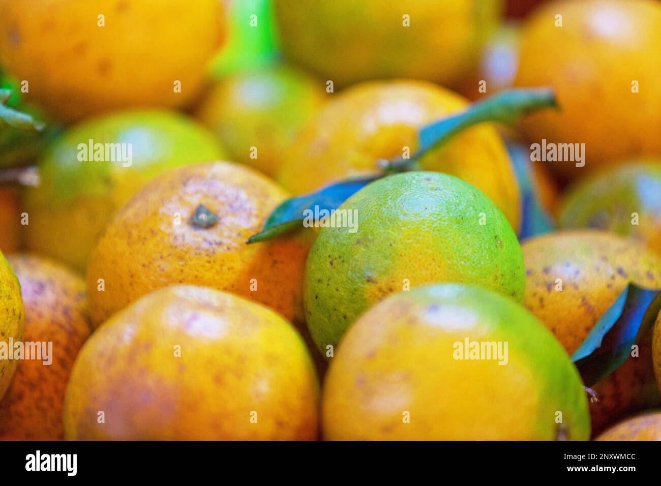 Close-up on a stack of oranges on a market stall Stock Photo - Alamy