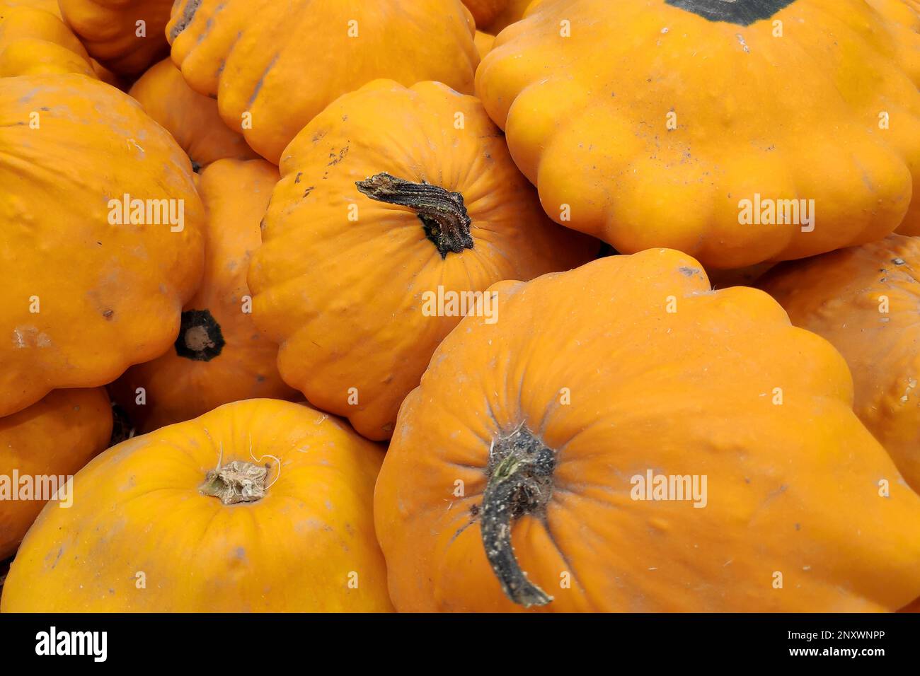 Close-up on a stack of orange pattypan squashes on a market stall Stock ...