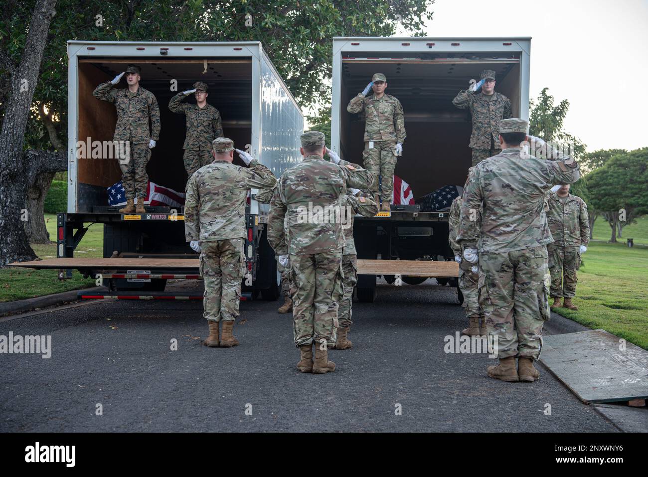 Members of the Defense POW/MIA Accounting Agency (DPAA) participate in ...