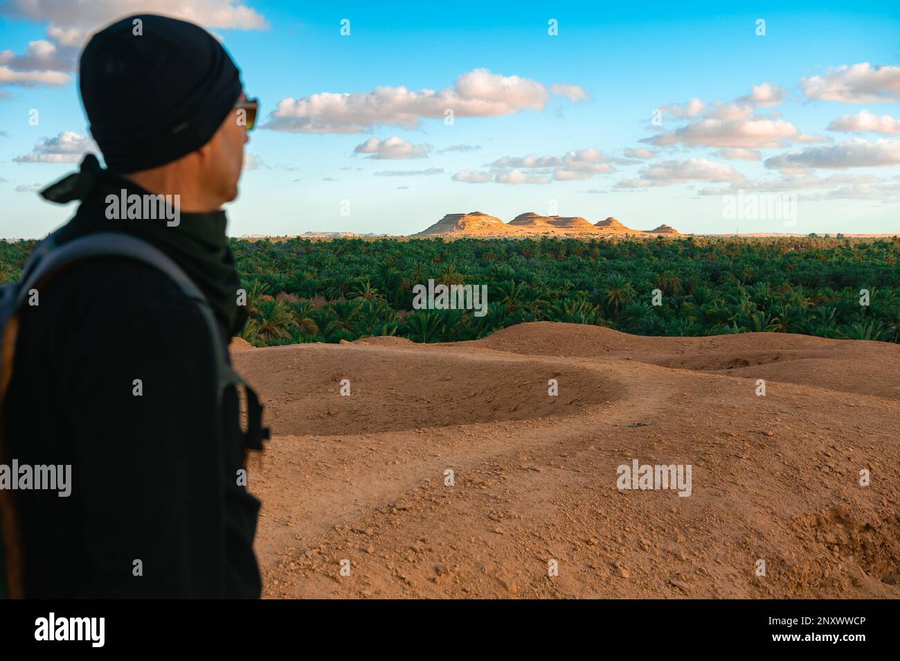 View of man looking at the Siwa Oasis in Egypt Stock Photo - Alamy