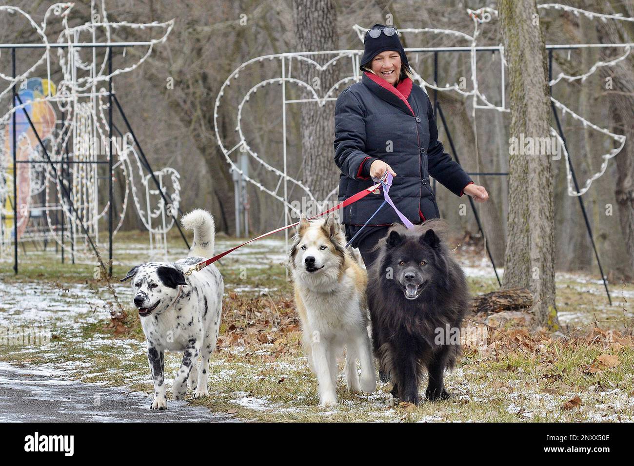 Cindy Gorman walks her dogs, from left, Indiana, Vanderbilt and Herron ...