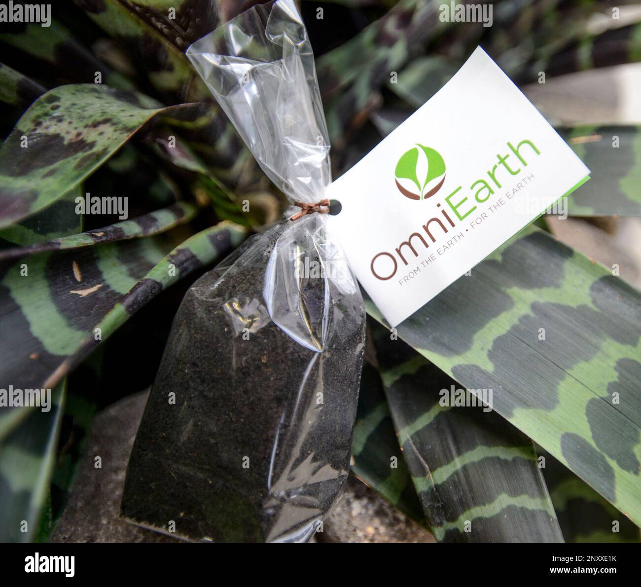 BYU student Joseph Walker was named the winner of the 2017 Utah Regional Global Student ...