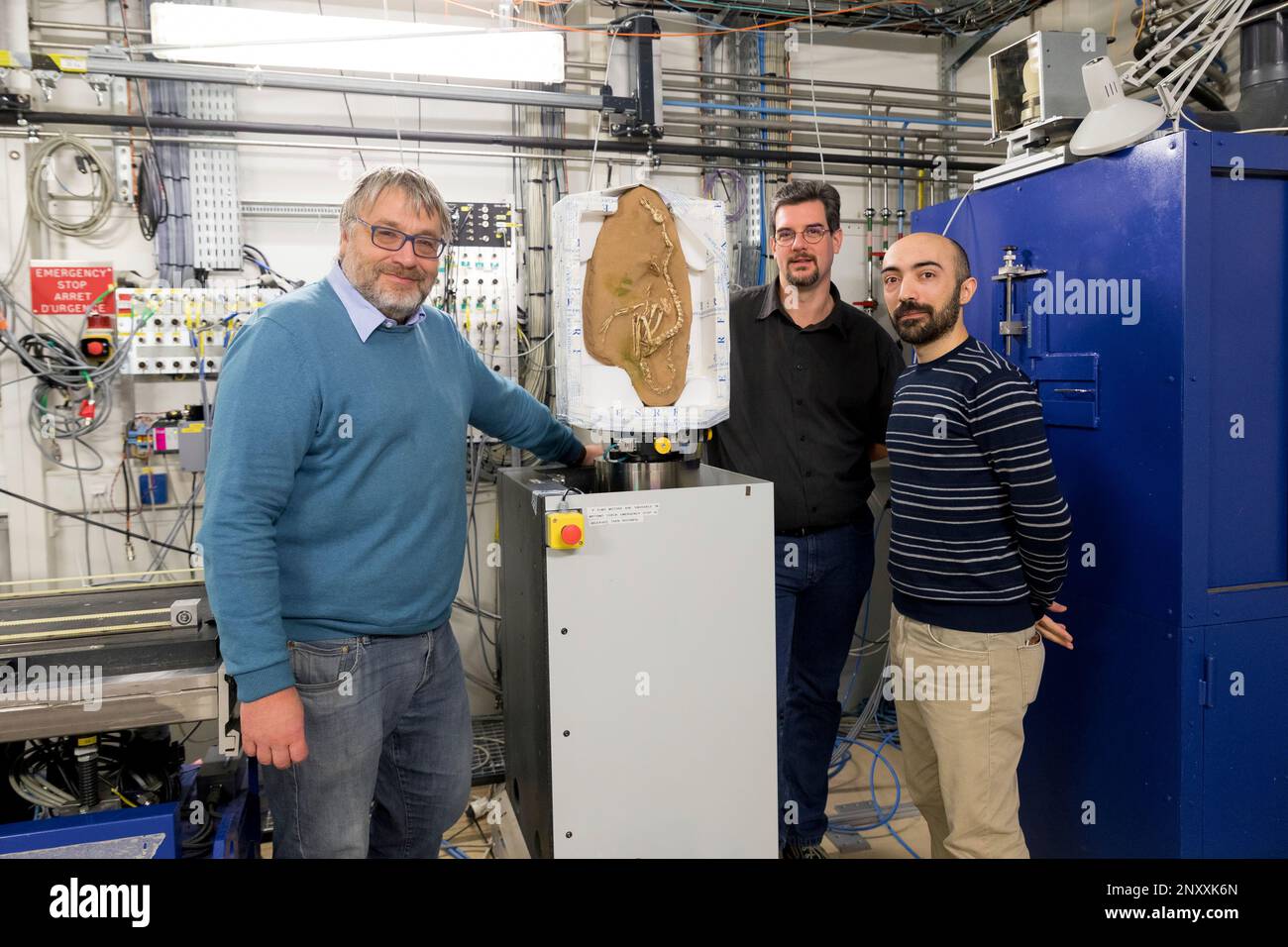 This photo provided by the European Synchrotron Radiation Facility ...