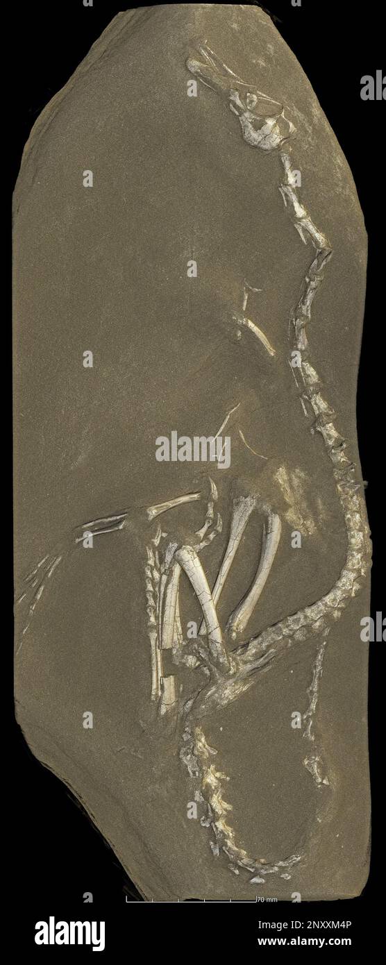 This image provided by the European Synchrotron Radiation Facility ...