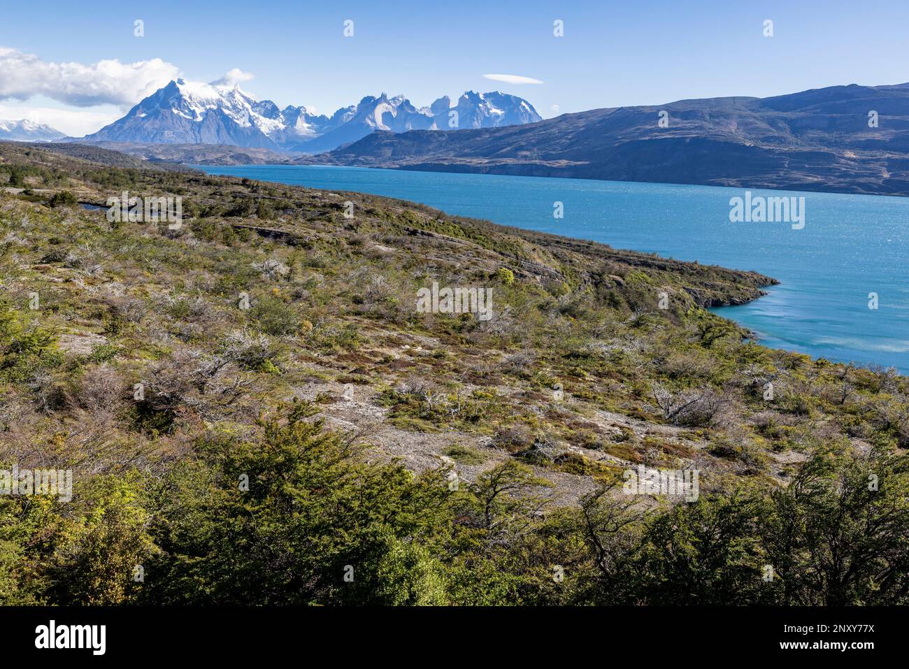 Lake Toro and snowy mountains of Torres del Paine National Park in ...