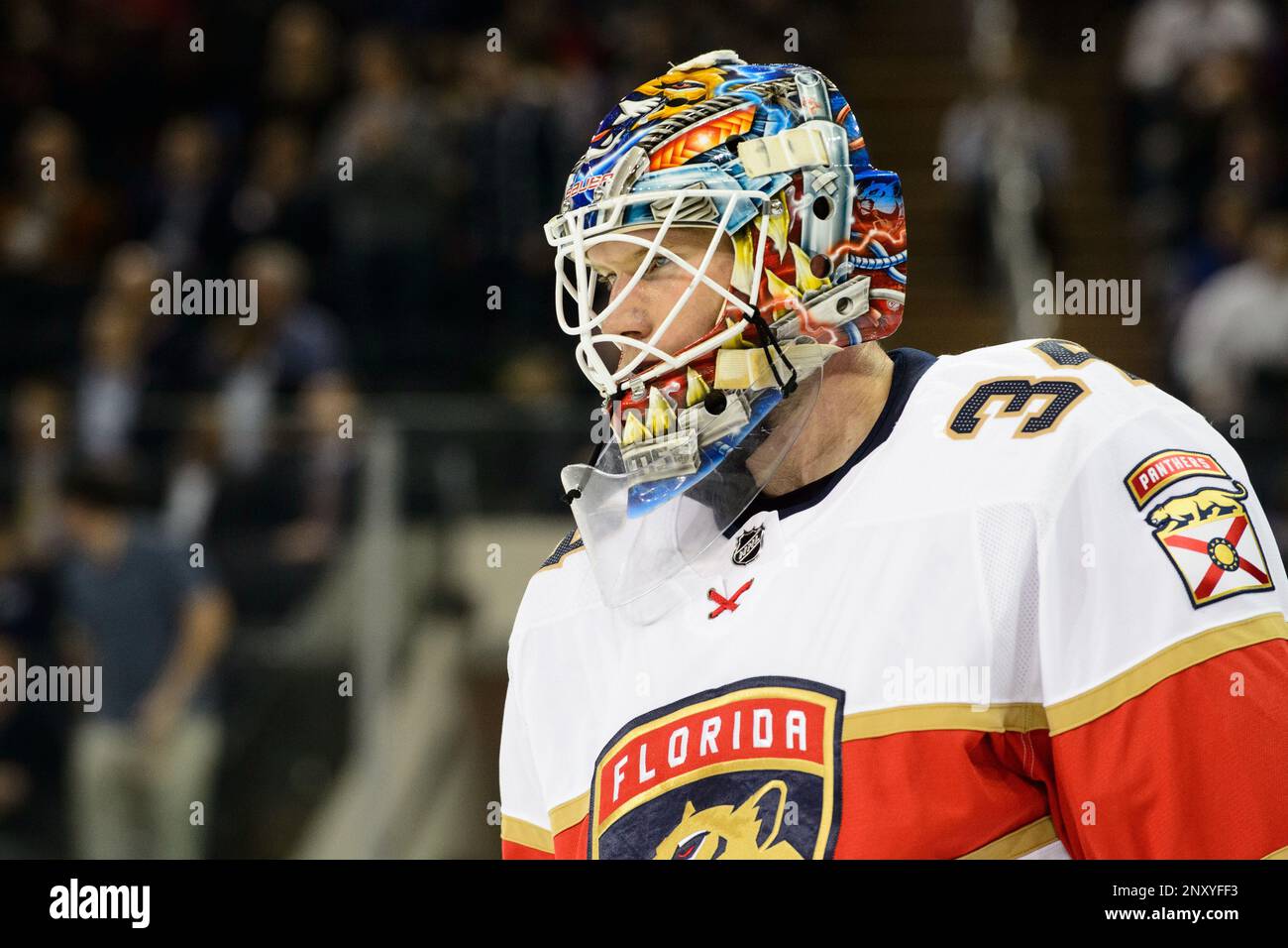 November 28, 2017: Florida Panthers goalie James Reimer (34) looks on ...