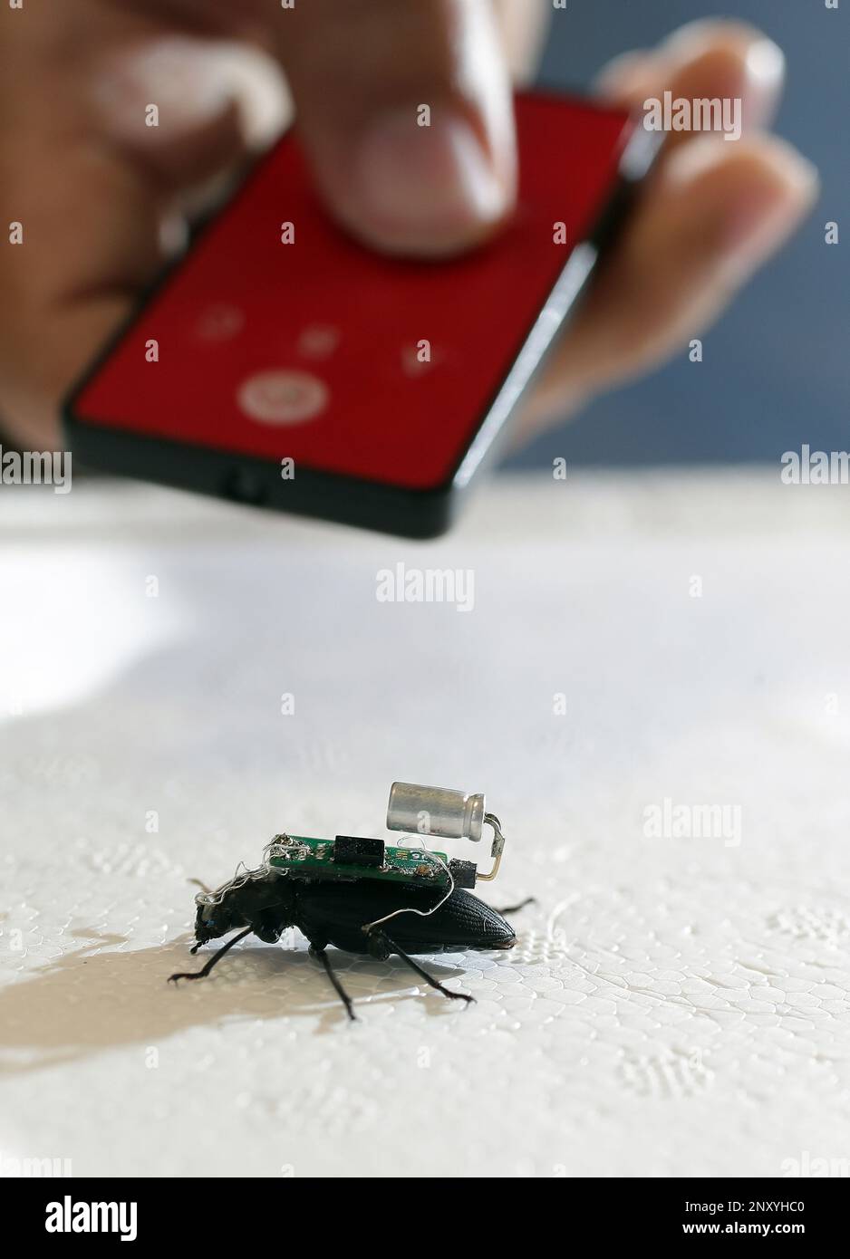 NTU's School of Mechanical and Aerospace Engineering Nanyang ...