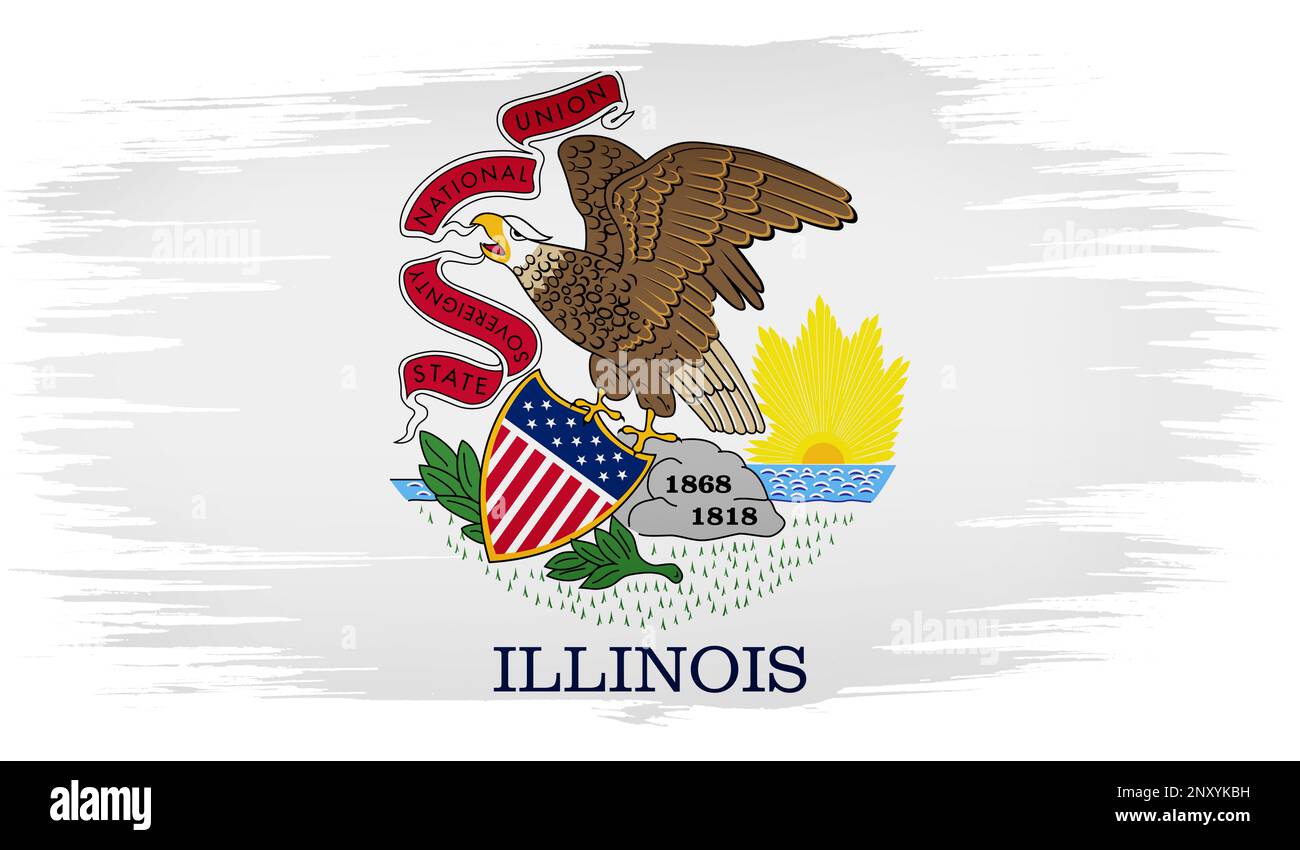 colorful hand-drawn brush strokes painted flag of Illinois state, USA ...