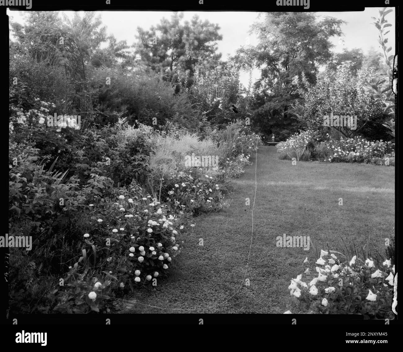 Carnegie gardens Black and White Stock Photos & Images - Alamy