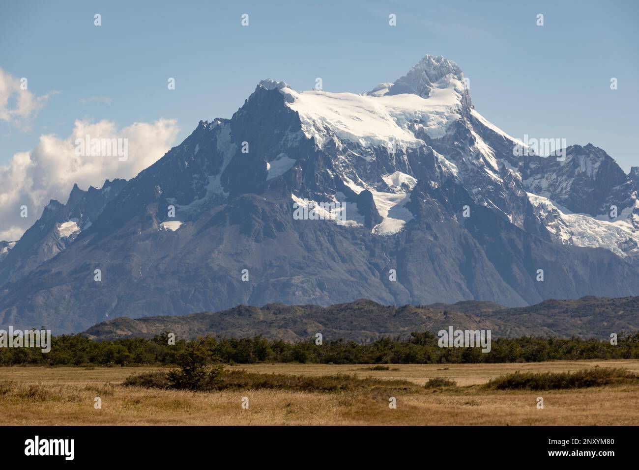 Golden Pampas and snowy mountains of Torres del Paine National Park in ...