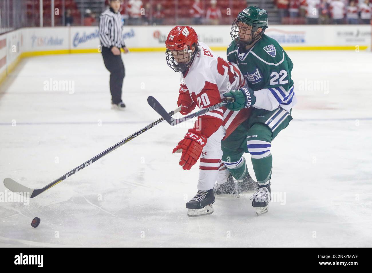 MADISON, WI - NOVEMBER 26: Wisconsin defenseman Josh Ess (20) and ...