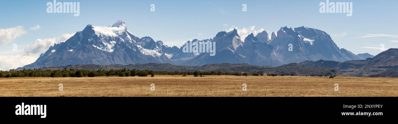 Golden Pampas and snowy mountains of Torres del Paine National Park in ...
