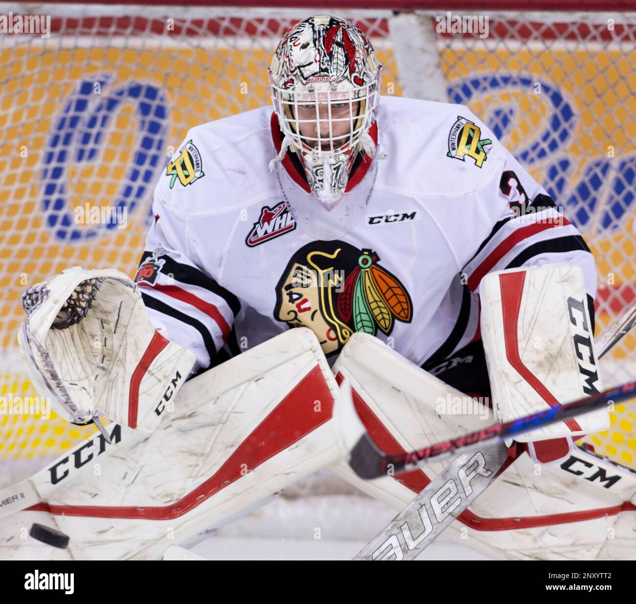 WHL (Western Hockey League) player profile photo on Portland ...