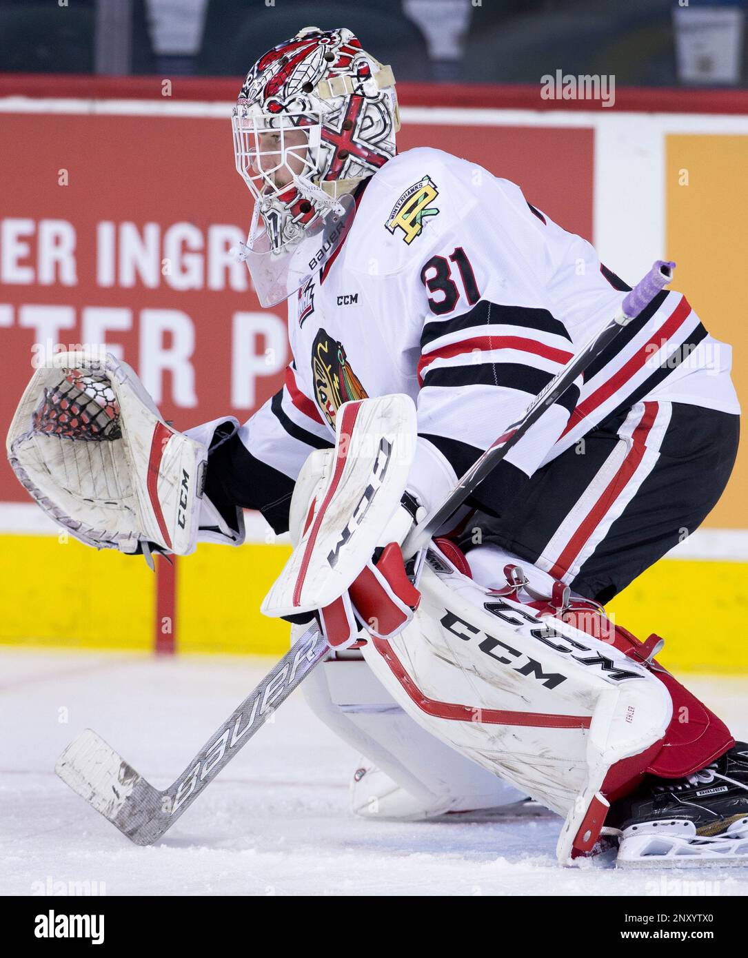 WHL (Western Hockey League) player profile photo on Portland ...