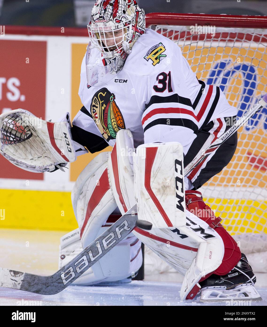 WHL (Western Hockey League) player profile photo on Portland ...