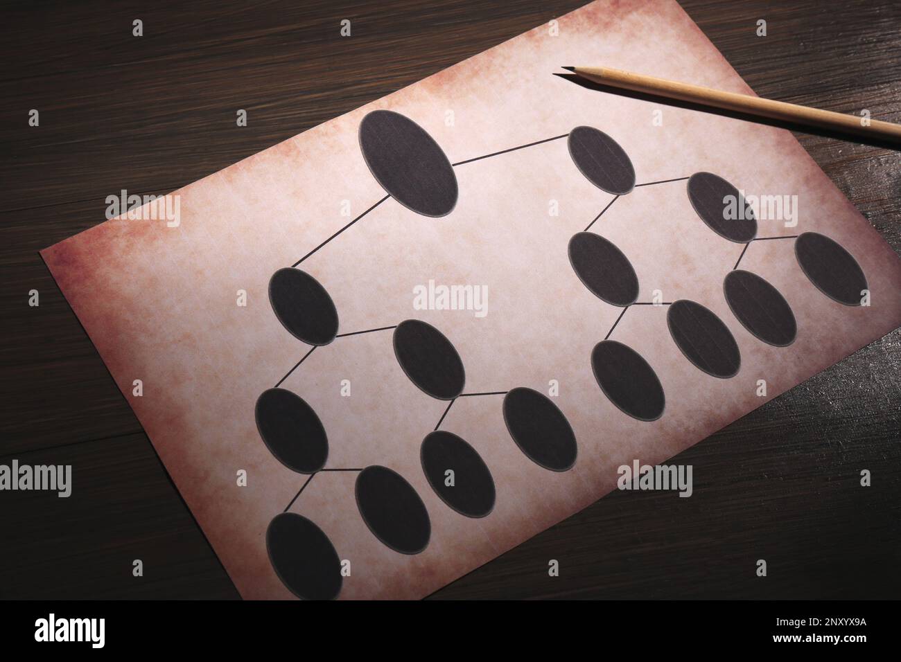 Blank family tree template hi-res stock photography and images - Alamy