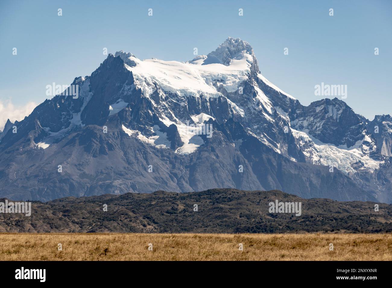 Golden Pampas and snowy mountains of Torres del Paine National Park in ...