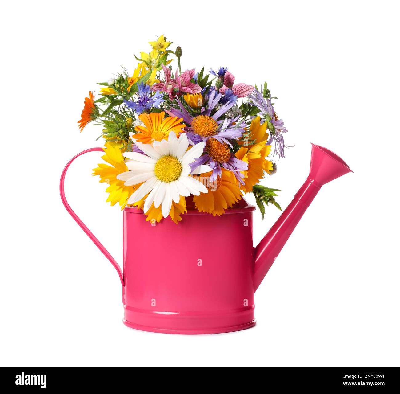 Pink watering can gift card hi-res stock photography and images - Alamy