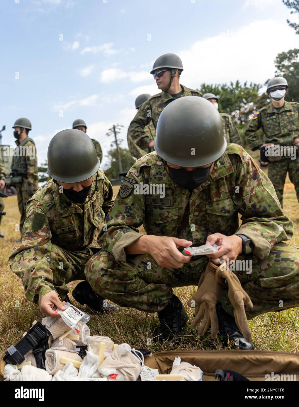 Members of the 15th Helicopter Unit, Japan Ground Self Defense Force ...