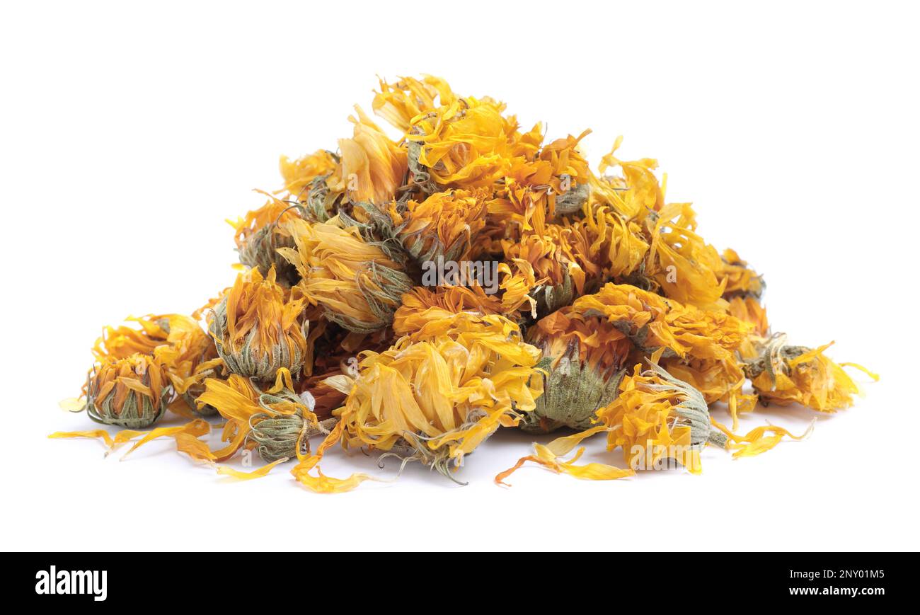 Pile of dry calendula flowers on white background Stock Photo - Alamy