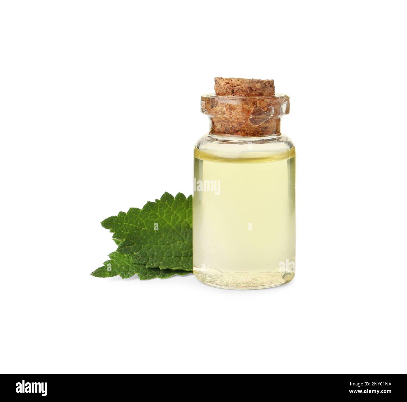 Glass bottle of nettle oil with leaves isolated on white Stock Photo ...